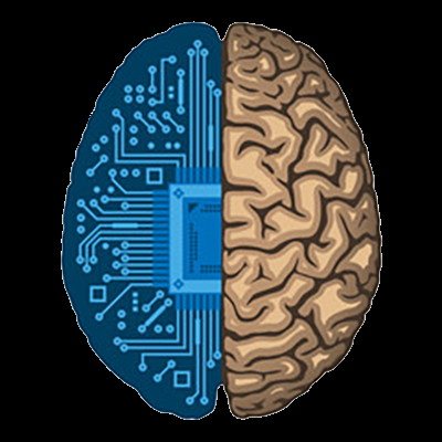 AI System On Chip (SOC) | Naturally Intelligent Systems